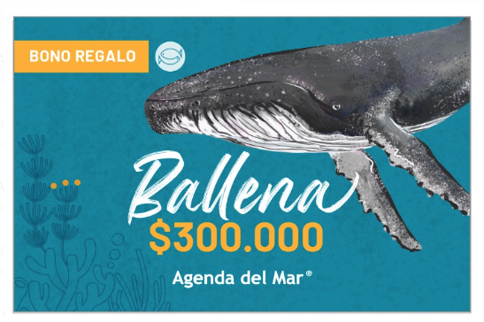 Bono de regalo ballena - Agenda del Mar Comunicaciones